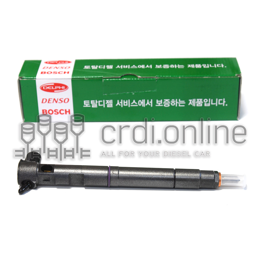 Delphi Diesel Fuel Injector 28489562 for Chevrolet, Opel, Holden, Vaux ...