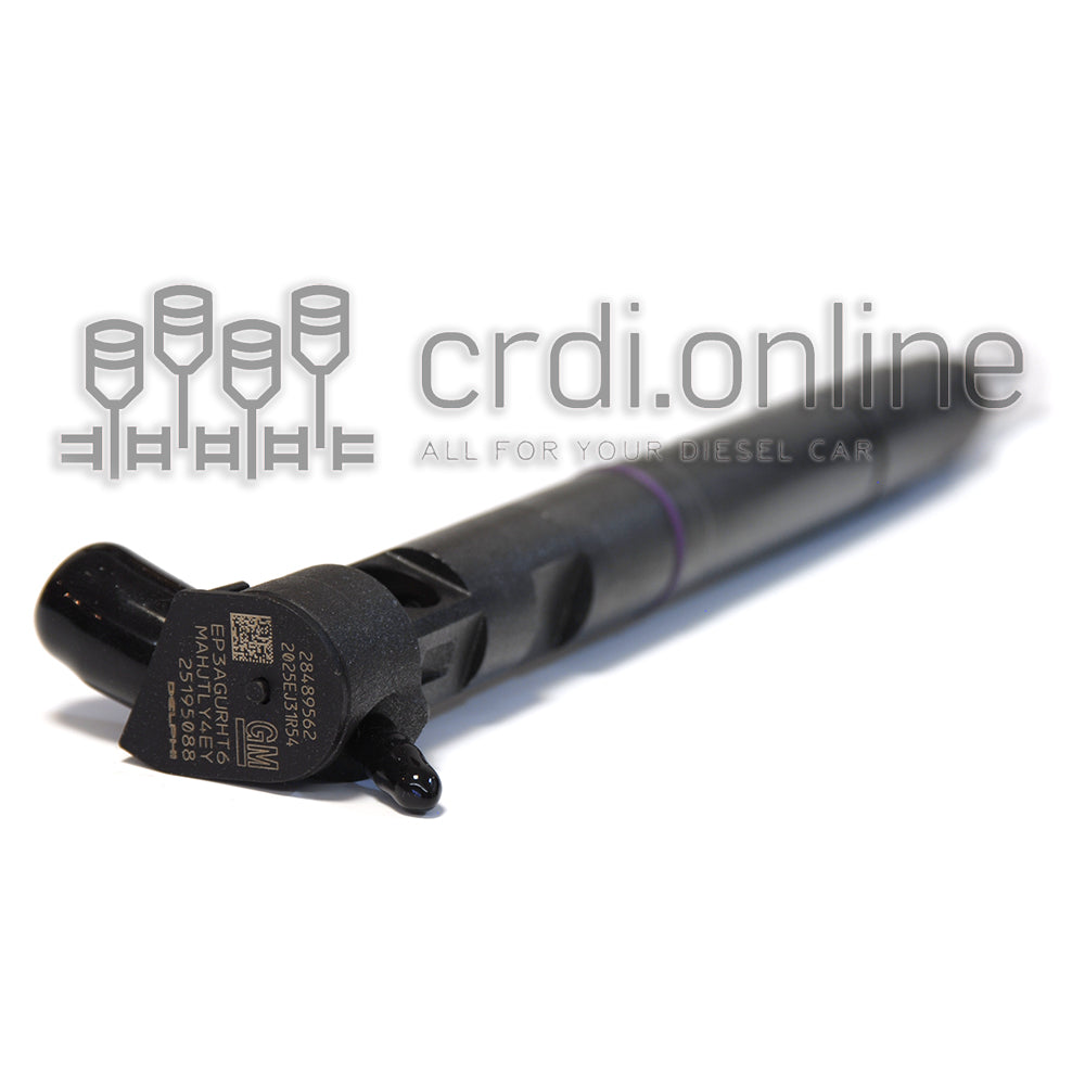 Delphi Diesel Fuel Injector 28489562 for Chevrolet, Opel, Holden, Vaux ...