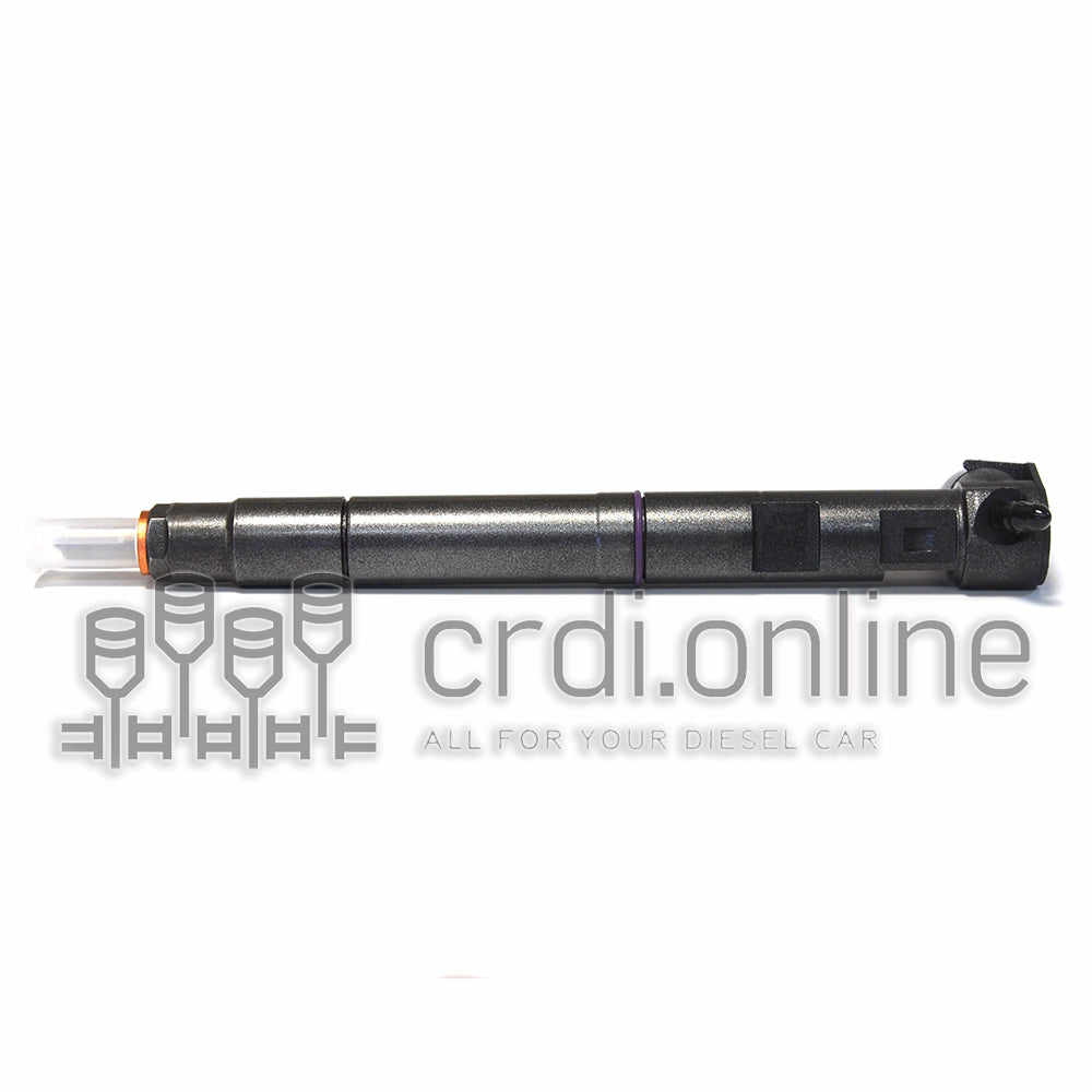 Delphi Diesel Fuel Injector 28489562 for Chevrolet, Opel, Holden, Vaux ...