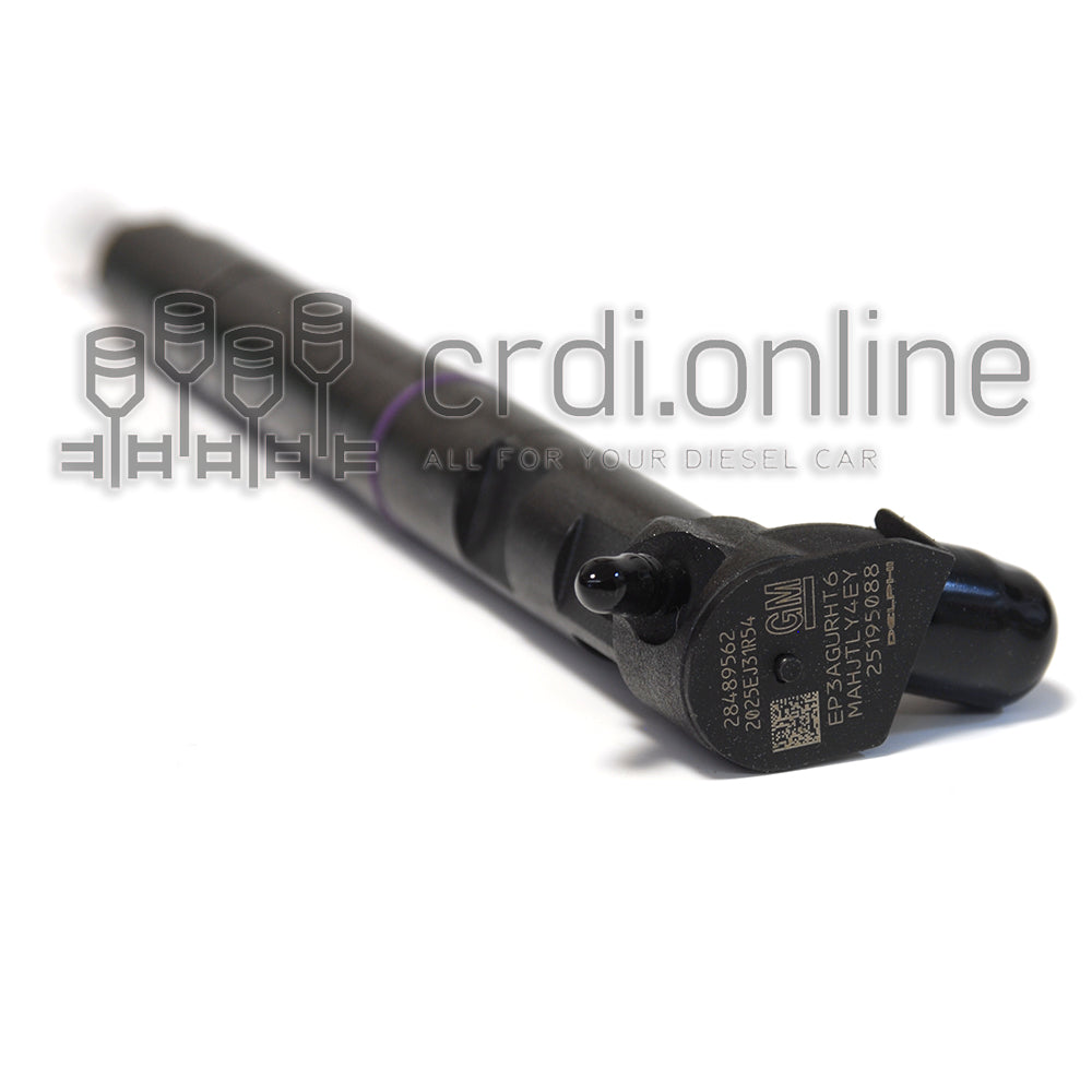 Delphi Diesel Fuel Injector 28489562 for Chevrolet, Opel, Holden, Vaux ...
